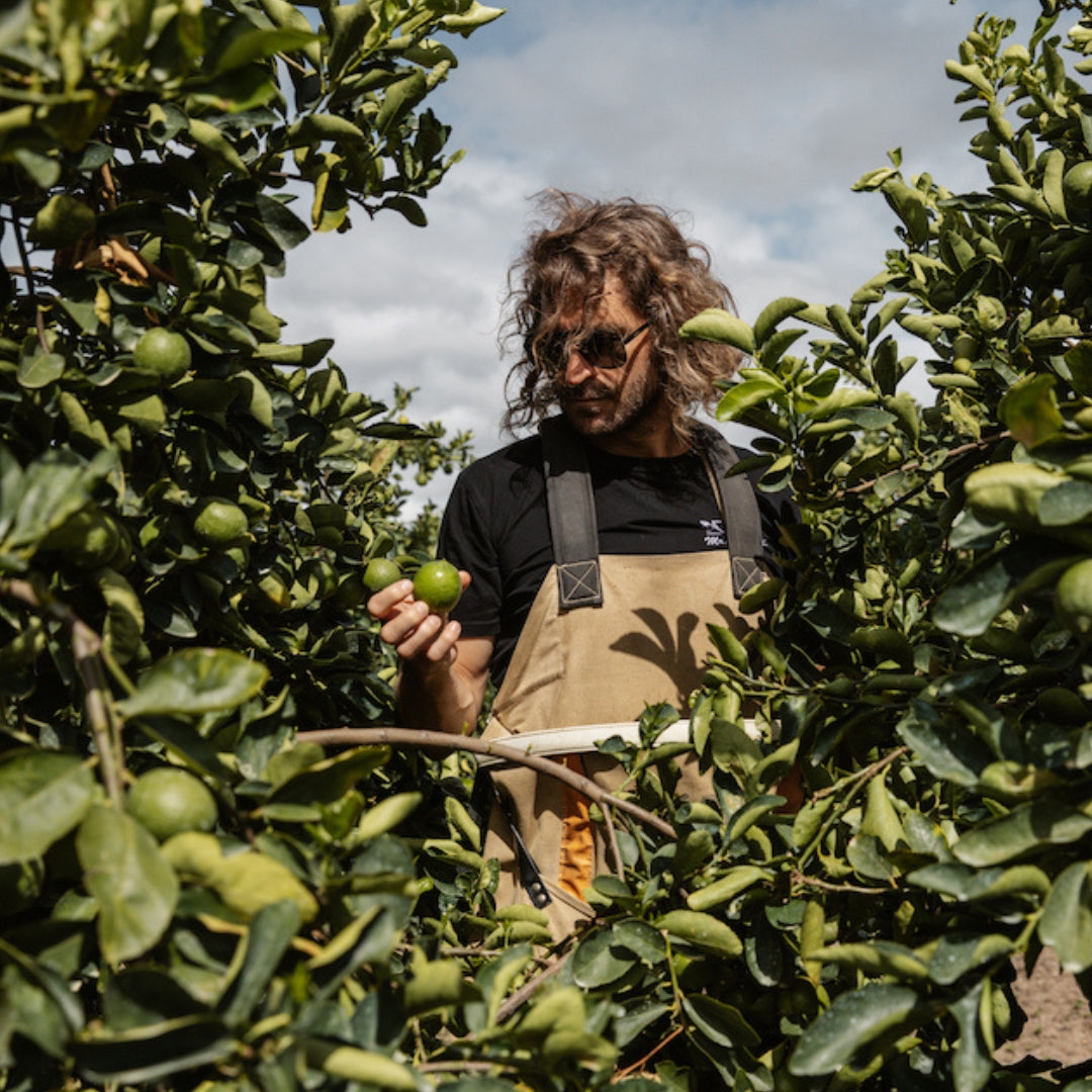 Mr. Consistent | Cosmo Cocktail Mixer / Mocktail Mixer | 10 Serves