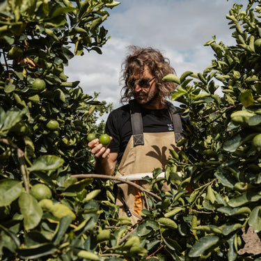 Mr. Consistent | Cosmo Cocktail Mixer / Mocktail Mixer | 10 Serves