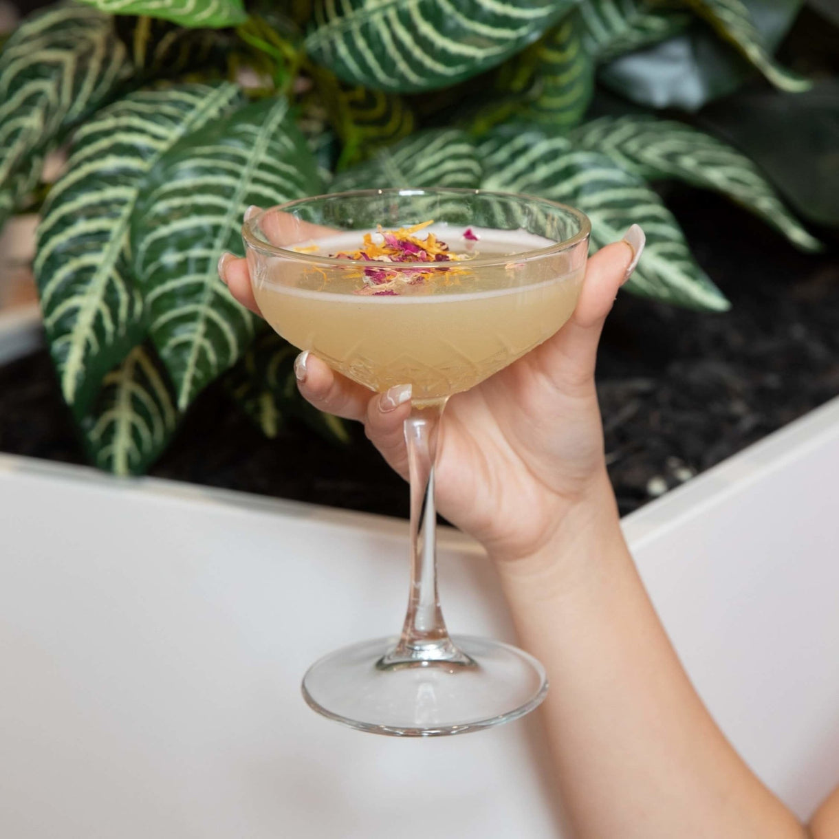 Mr. Consistent • #1 Aussie Fave Cocktail & Mocktail Mixers