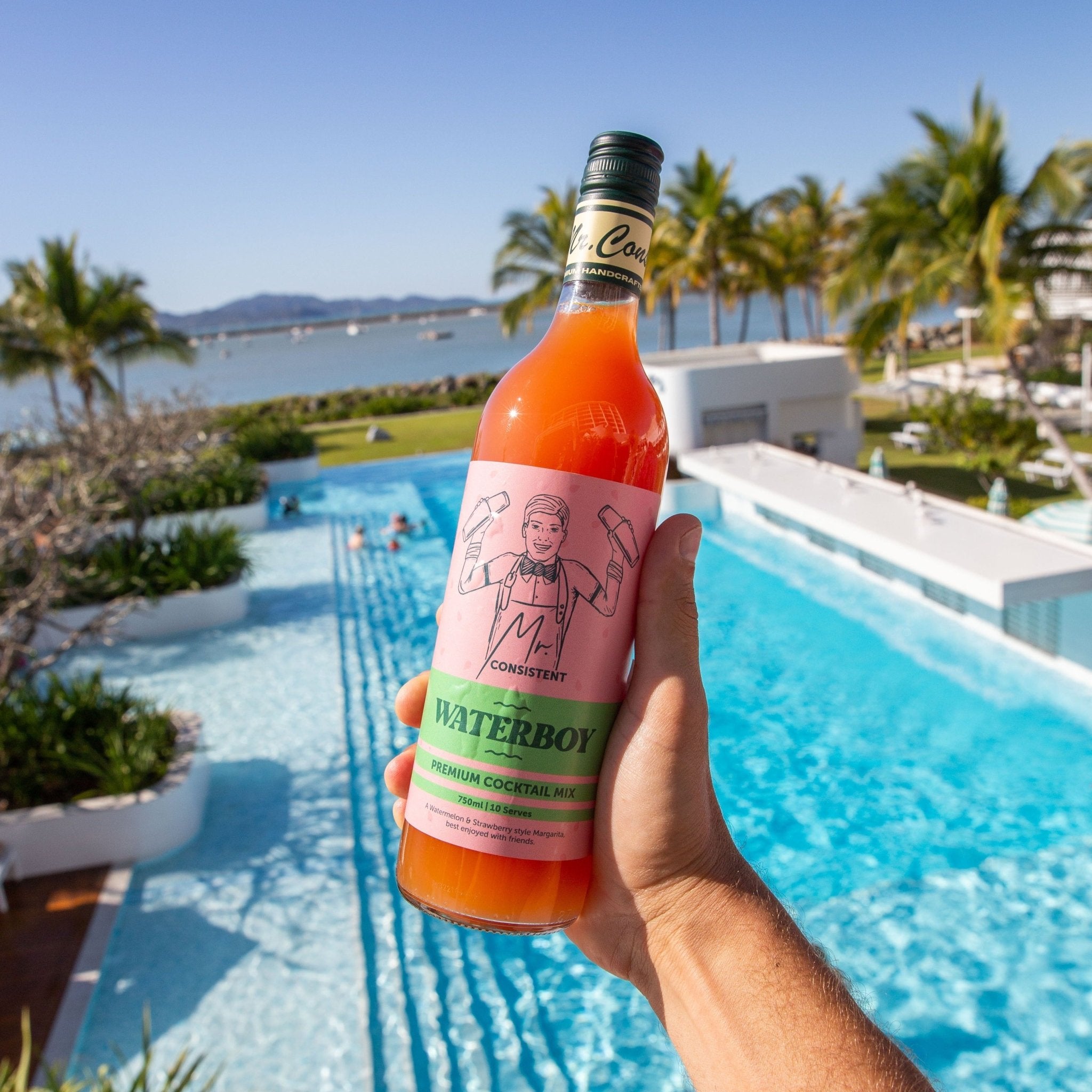 Mr. Consistent Watermelon Margarita Cocktail Mixer (WATERBOY)